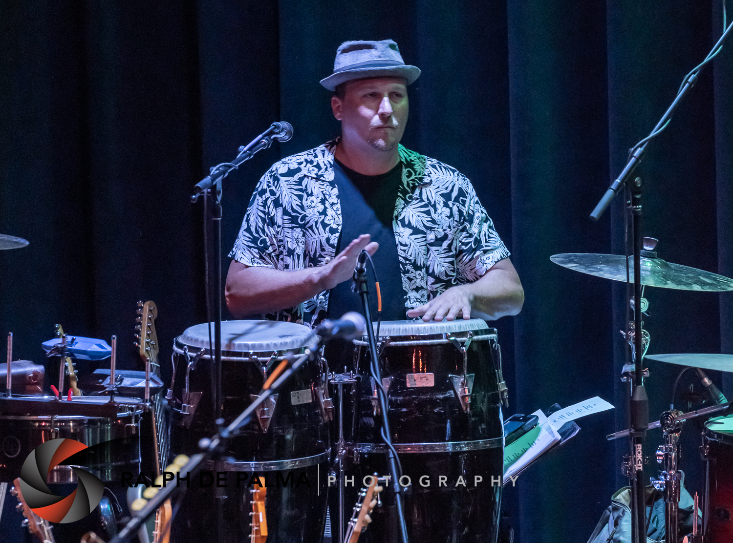 » The warmth and closeness of the Key West music brotherhood is uplifting