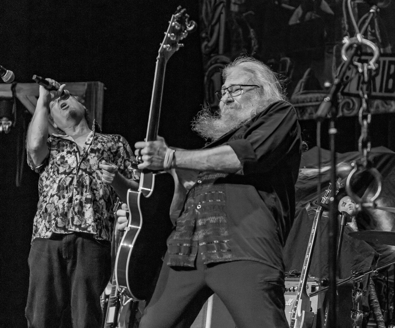 » Wayne Sorbelli “A woken lion”
