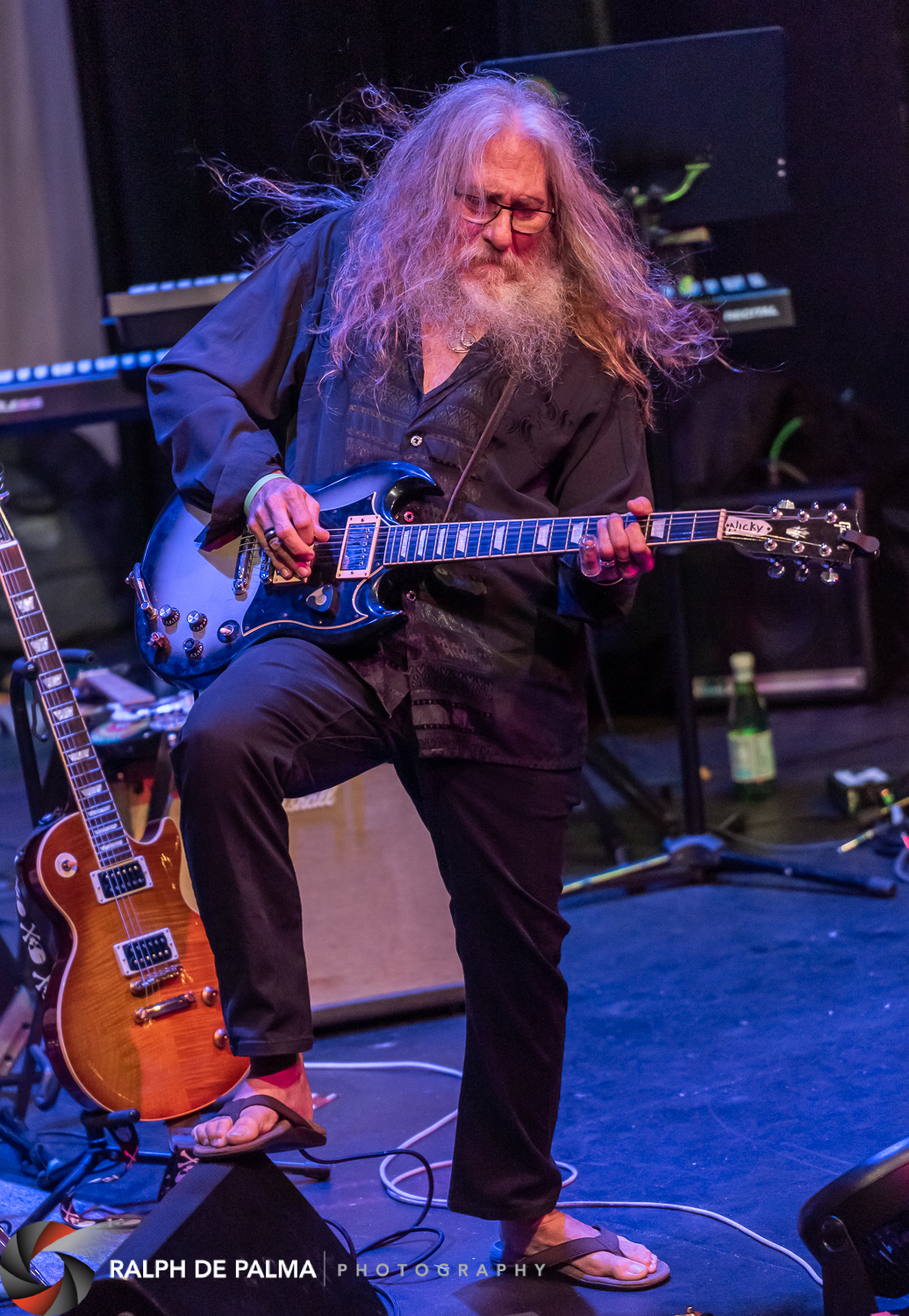 » Wayne Sorbelli “A woken lion”