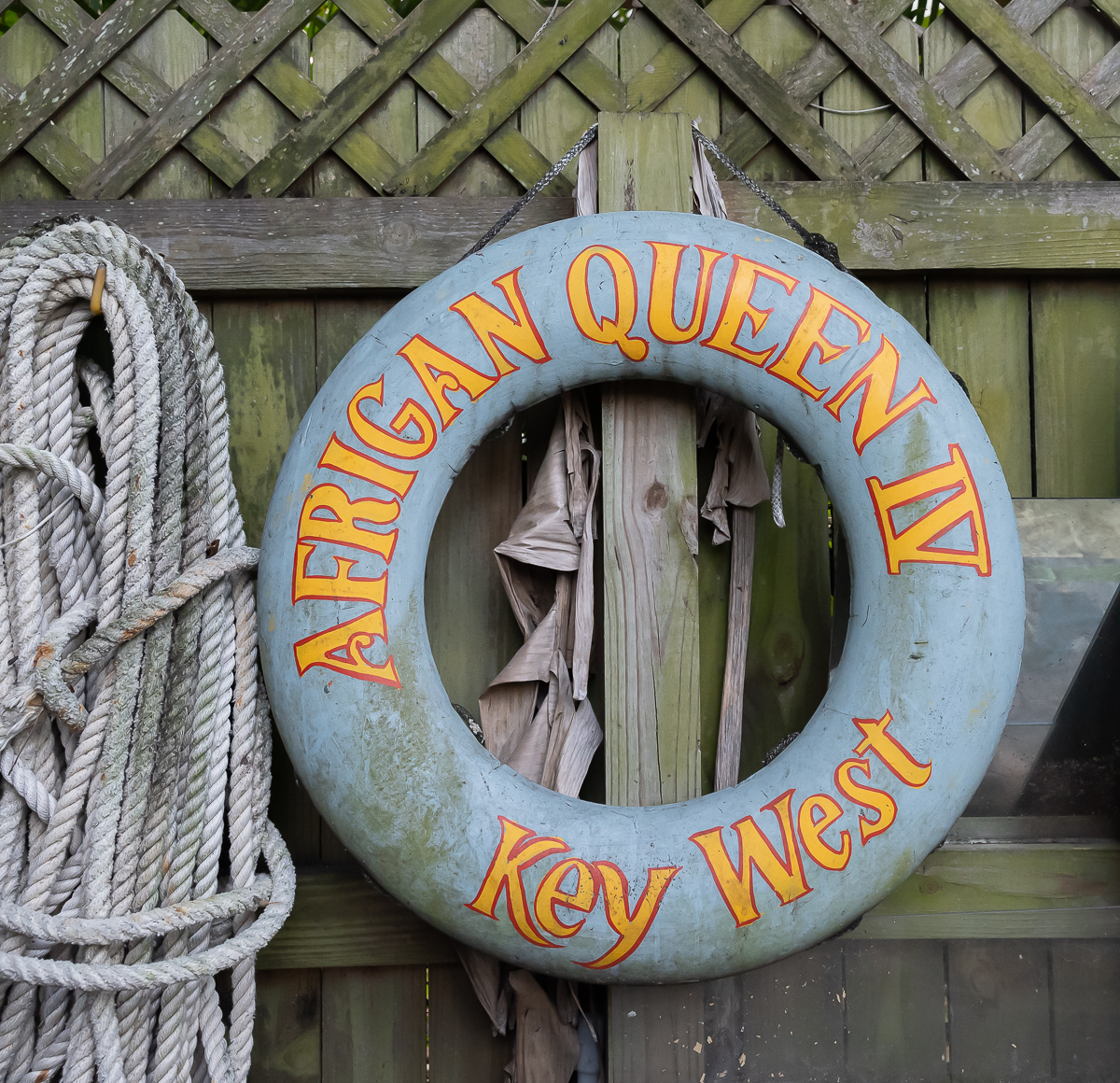 David Wegman - OurKeyWest